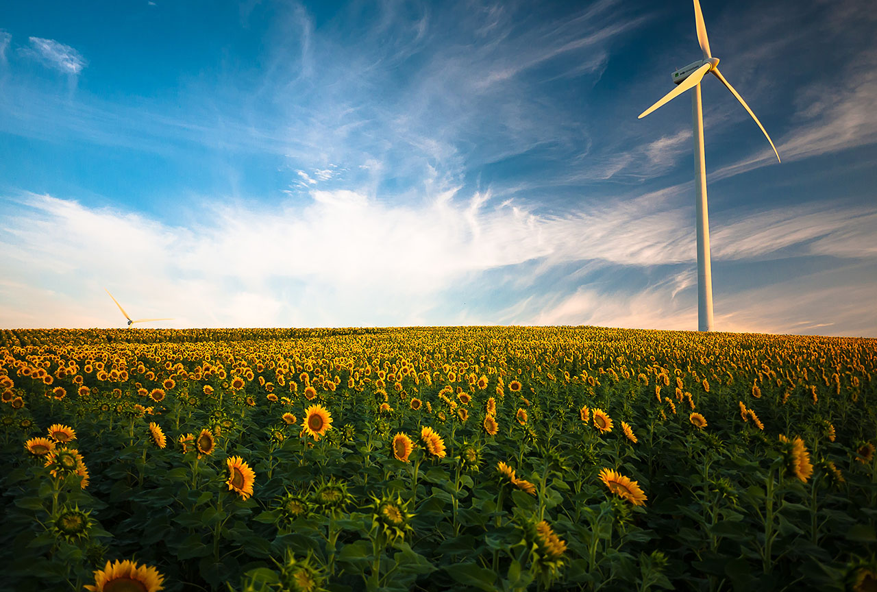 Sustainable Housing: Three Examples of Old-School Low-Carbon Living ...
